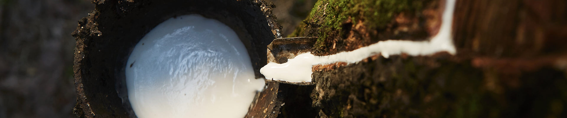 Understand what natural polymers are and how they helped humanity ...